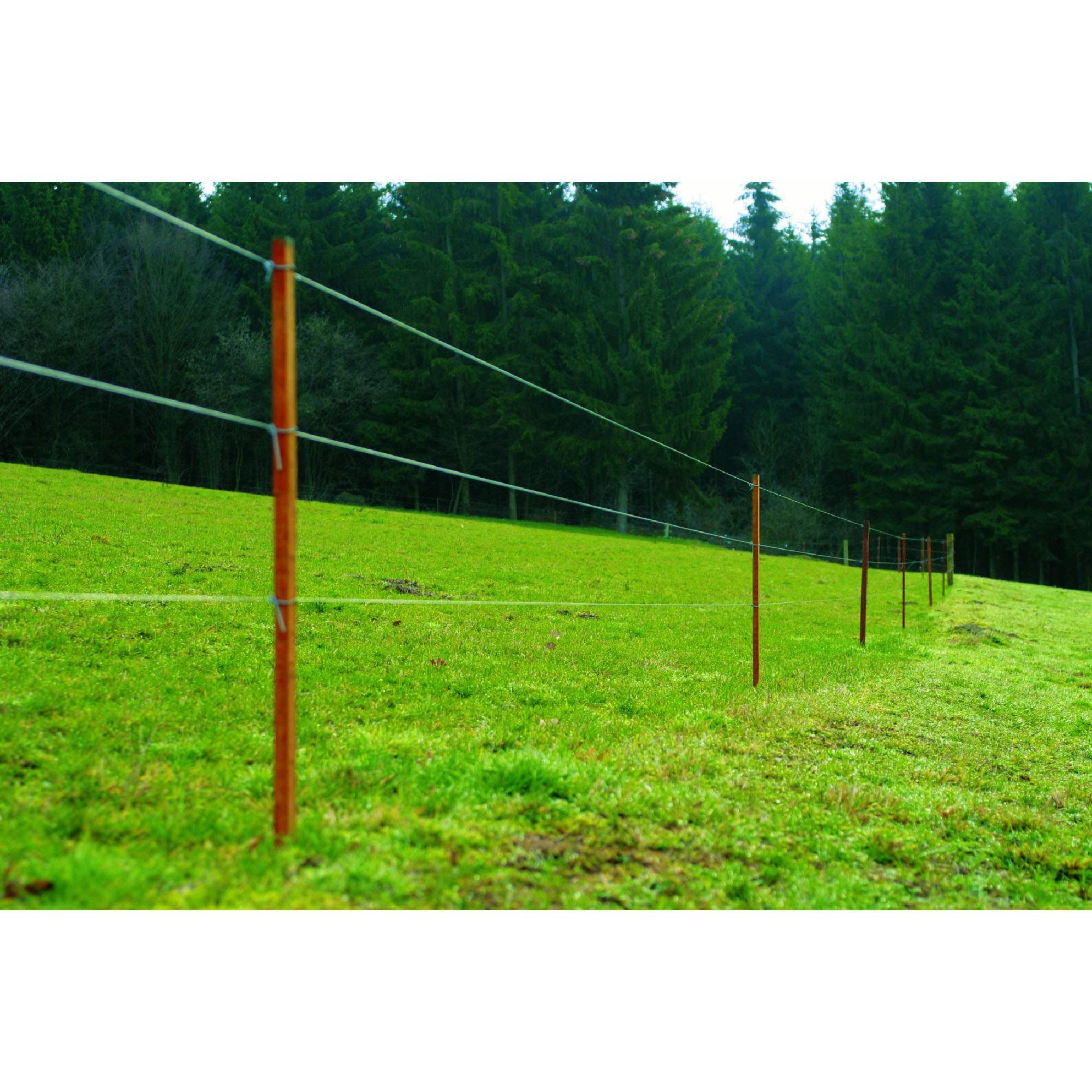 Piquet de clôture en bois dur Patura